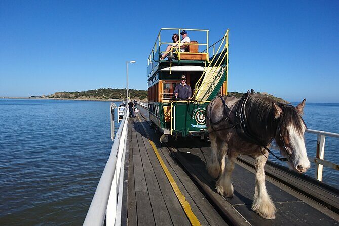 Coorong 3 & 1/2 Lunch Cruise and Tour - Who Is This Tour Best Suited For?