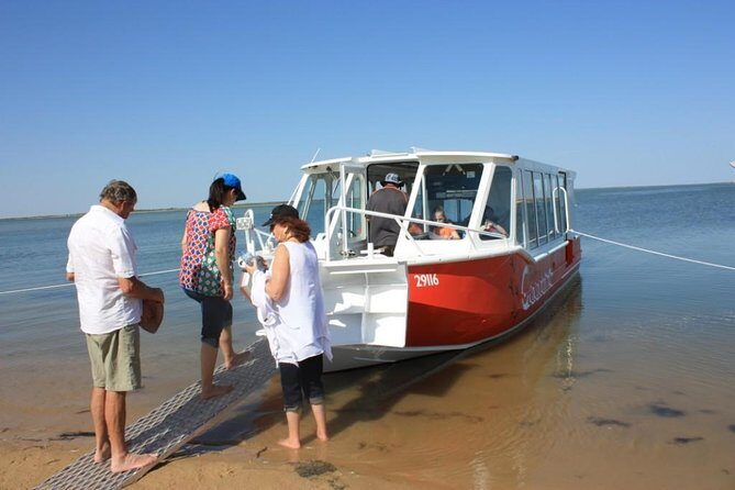 Coorong Highlights Cruise - Key Points