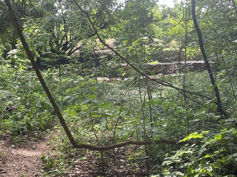 Copalita: Copalita Archaeological Site & La Crucecita Tour - FAQ