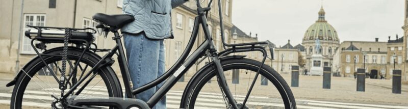 Copenhagen: 3 Hour Extended Grand E-Bike Guided Tour - The Classic and the Modern: Highlights of the Tour