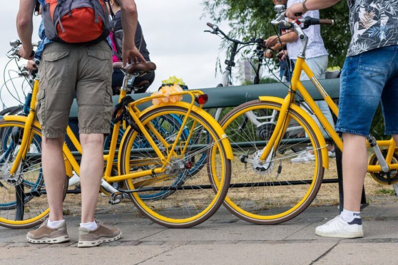 Copenhagen: 3 Hours Private Bike Tour with a local Guide - Key Points