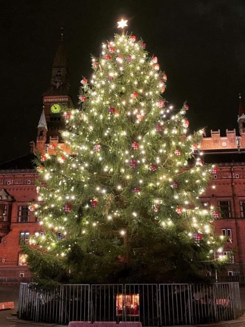 Copenhagen: Christmas Charm Walking Tour with Holiday Beer - How the Itinerary Unfolds