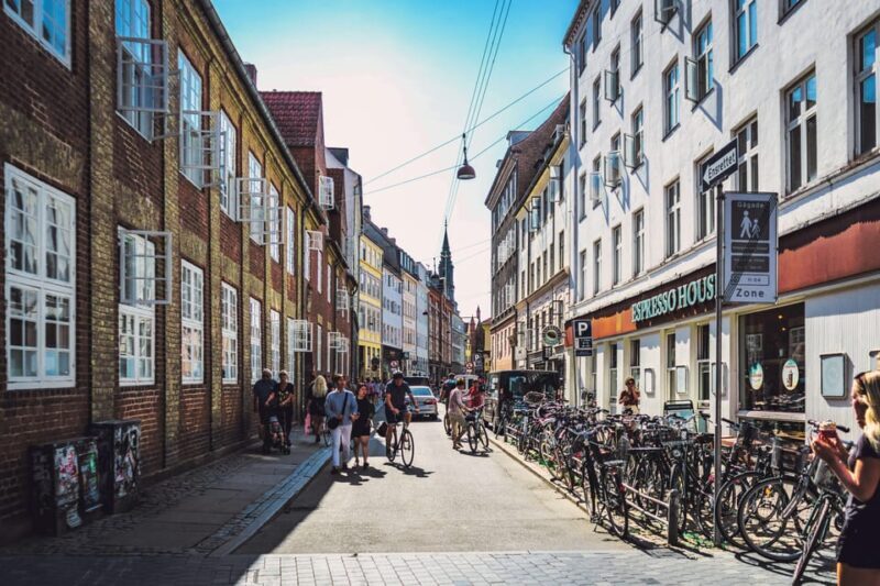 Copenhagen City & Rosenborg Castle Private Walking Tour - What You Get and Why It Matters