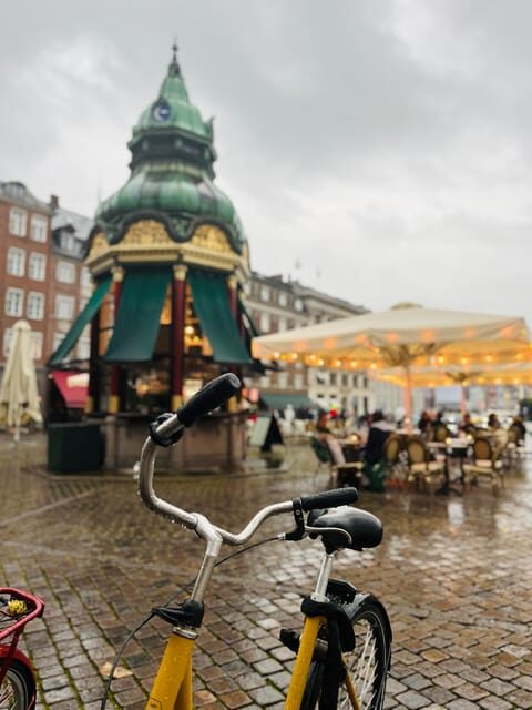 Copenhagen: City Walking Tour with a Local Guide - Exploring Copenhagen on Foot: A Practical Introduction