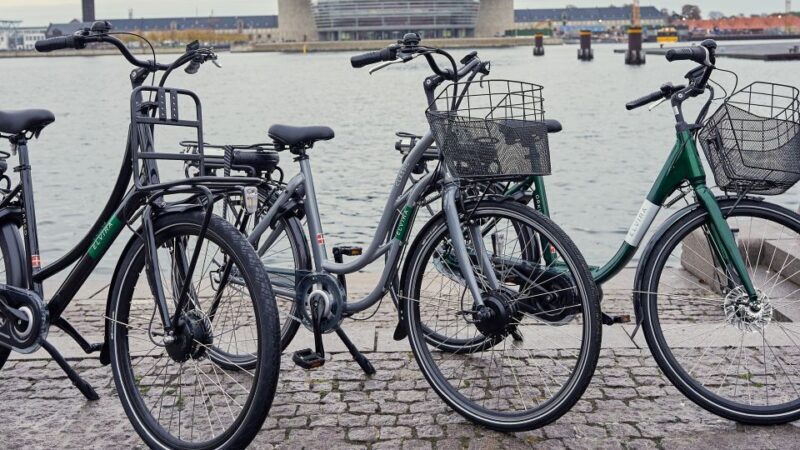Copenhagen E-Bike Rental - Practical Tips for Riders