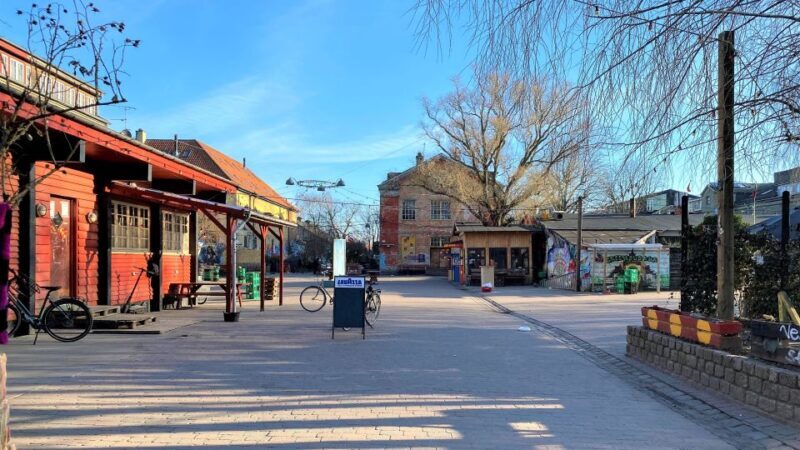 Copenhagen: Guided Walking Tour in French - The Sum Up