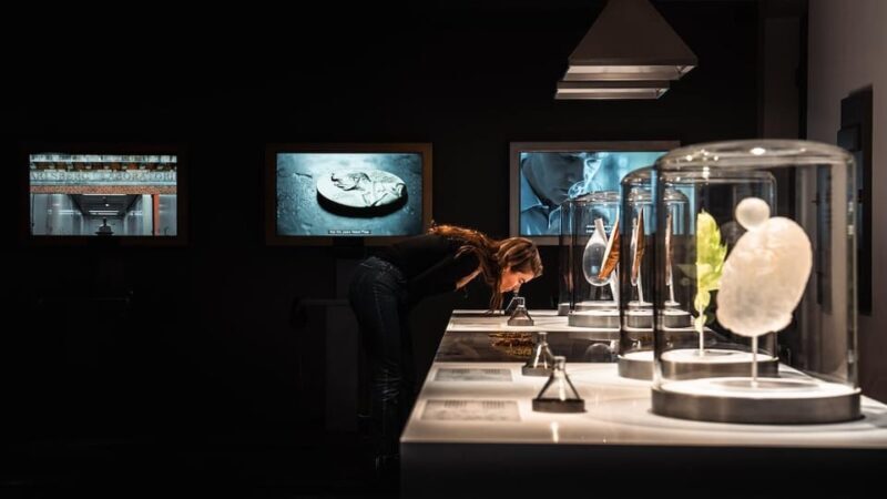Copenhagen: Home of Carlsberg Experience Entry Ticket - Authentic Experience and Real Reviews