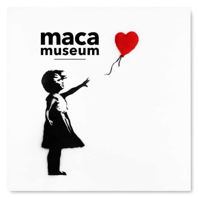 Copenhagen: MACA Art Museum Entry Ticket - The Experience: Exploring MACA in Detail