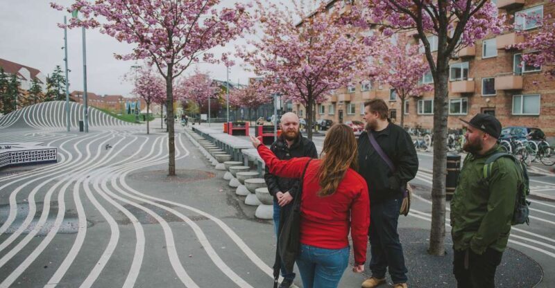 Copenhagen: Nørrebro Neighborhood Tour - Worthwhile Details and Practicalities