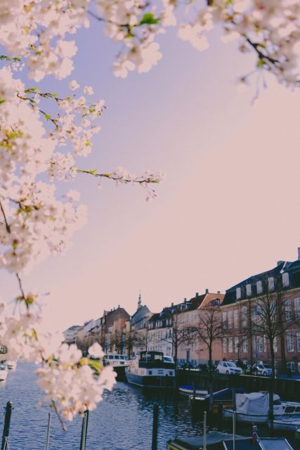 Copenhagen private 3h walking tour - Authentic Experiences and Past Feedback