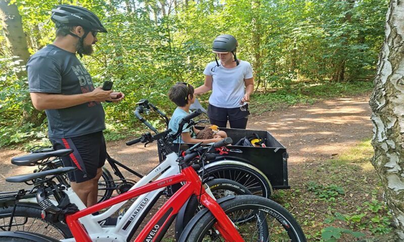 Copenhagen: Private Forgotten Giants E-Bike Treasure Hunt - Analyzing the Value