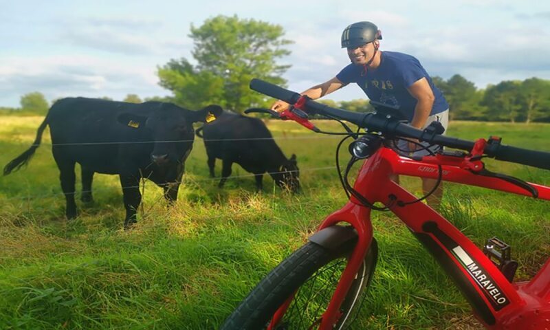 Copenhagen: Private Forgotten Giants E-Bike Treasure Hunt - The Sum Up