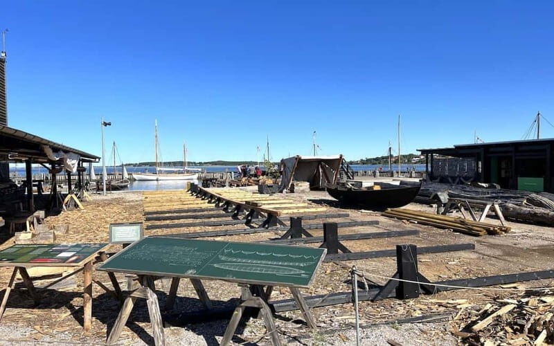 Copenhagen: Roskilde, the Viking City Tour in English - An In-Depth Look at the Experience