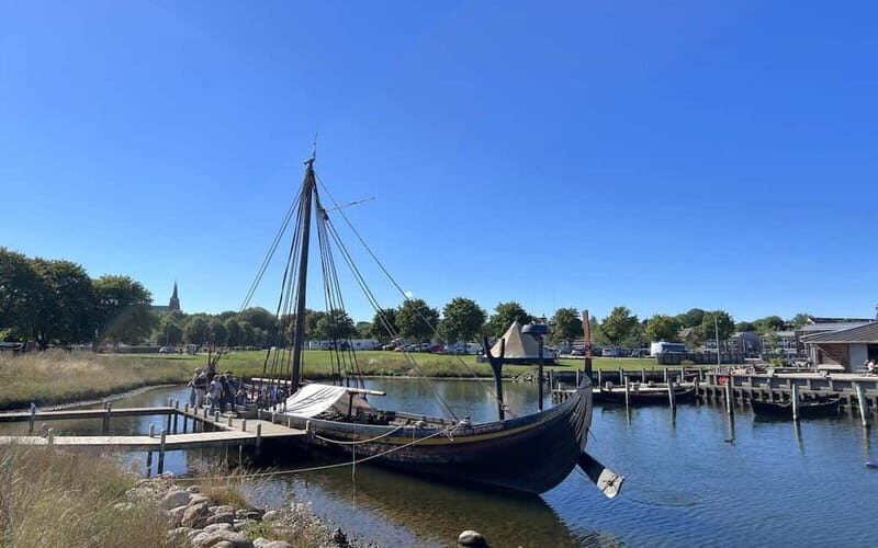 Copenhagen: Roskilde, the Viking City Tour in English - Who Should Consider This Tour?
