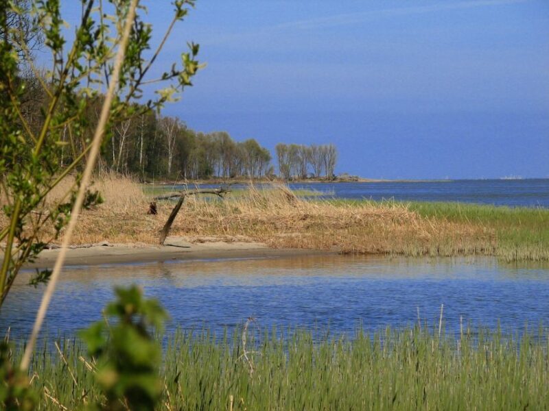 Copernicus Trail in Frombork Private Tour from Gdansk by Car - Final Thoughts: Is It Worth It?