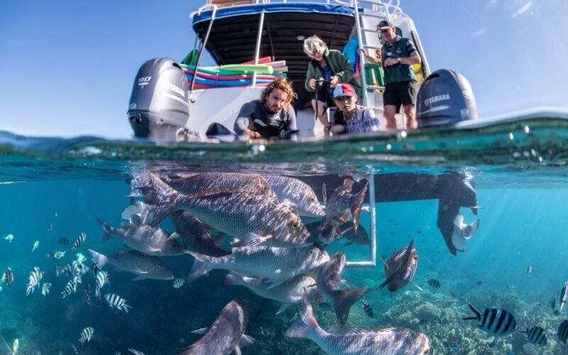 Coral Bay: 2-Hour Coral Viewing and Snorkeling - Final Thoughts: Is This Tour for You?