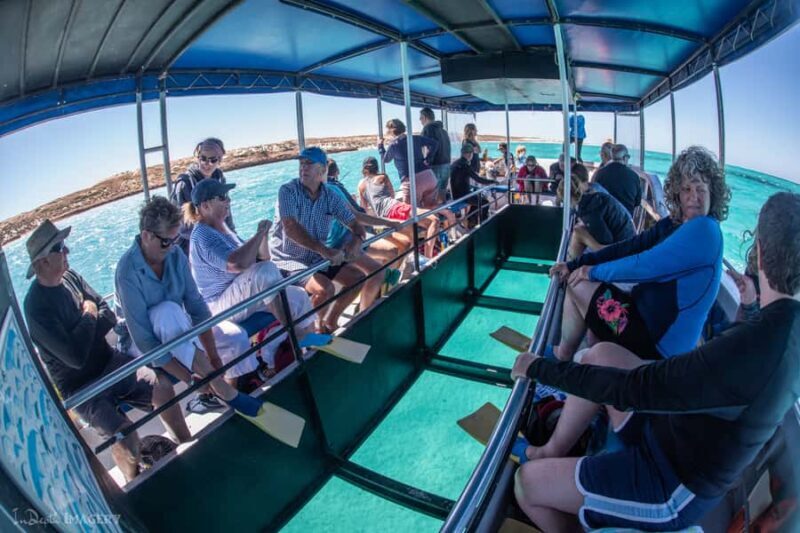 Coral Bay: 2-Hour Coral Viewing and Snorkeling - Value for Money