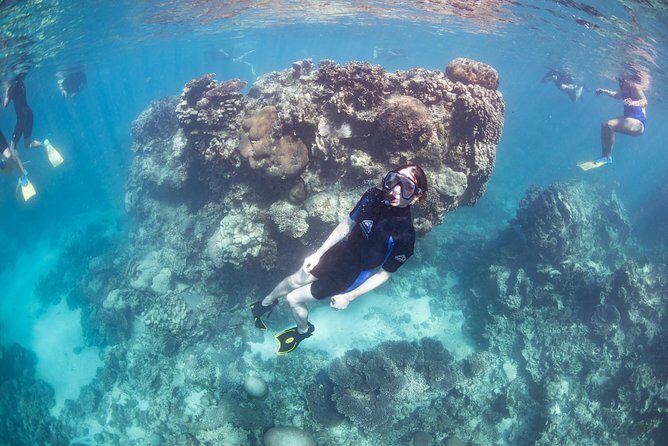Coral Bay 2-Hour Coral Viewing and Snorkeling - What Travelers Say