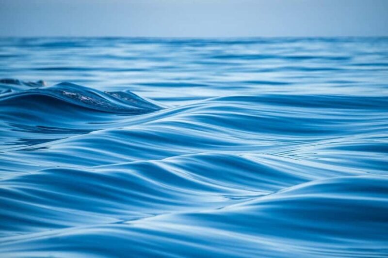 Coral Bay: Half Day Ningaloo Reef Adventure with Manta Rays - An Honest Look at the Tour Itself