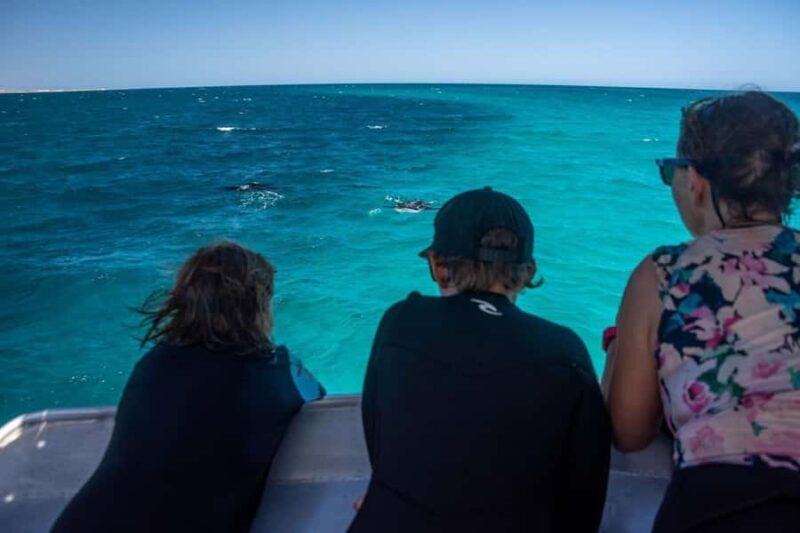 Coral Bay: Half Day Ningaloo Reef Adventure with Manta Rays - Additional Details That Matter