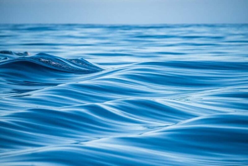 Coral Bay: Half Day Ningaloo Reef Adventure with Manta Rays - An In-Depth Look at the Experience