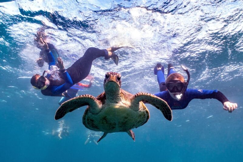 Coral Bay: Marine Eco Safari - Swim With Manta Rays - An In-Depth Look at the Coral Bay Eco Safari