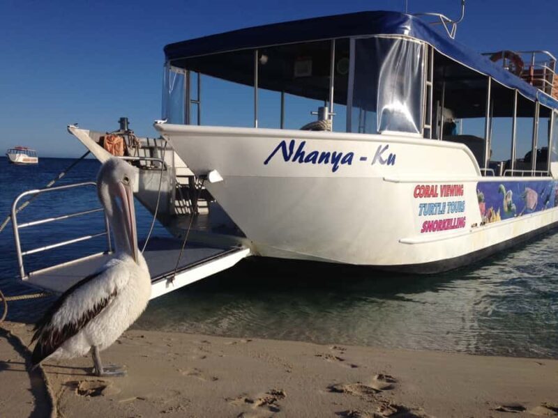 Coral Bay: Ningaloo Reef 3-Hour Turtle Ecotour - Authentic Experiences from Travelers