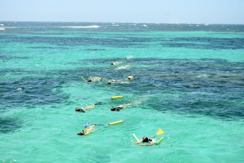 Coral Bay: Ningaloo Reef 3-Hour Turtle Ecotour - An In-Depth Look at the Experience