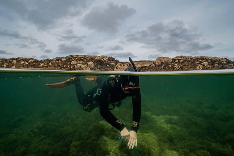 Coral Beach Snorkeling Galway - What’s Included and What’s Not?