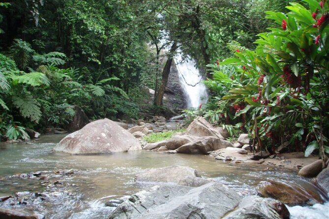 ''Coral Coast Adventure: Biausevu Waterfall & Natadola Beach !'' - Final Thoughts: Who Will Love This Tour?