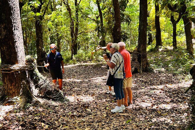 Coral Coast Heritage Tour - Who Should Consider This Tour?
