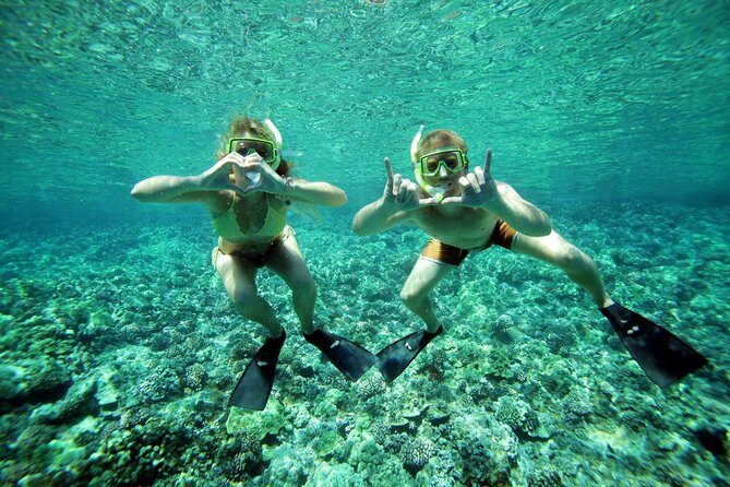 Coral Gardens Coastal Snorkel & Sail - FAQs
