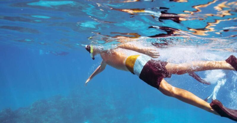 Coral Gardens Snorkel & Whale Watch - Authentic Perspectives from Past Travelers