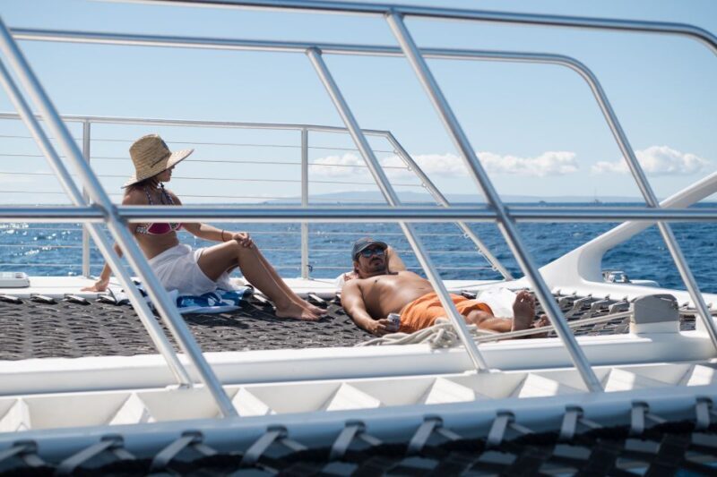 Coral Gardens Snorkel & Whale Watch - Who Should Consider This Tour?