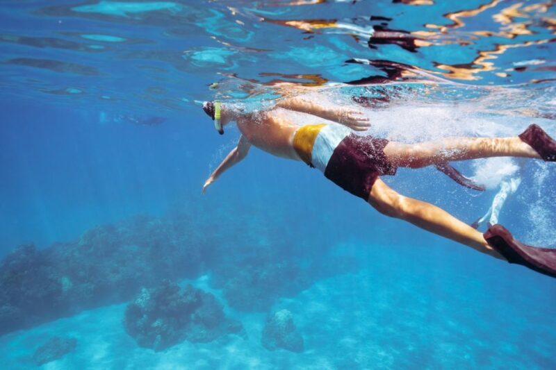 Coral Gardens Snorkel & Whale Watch - The Sum Up: Why Choose the Coral Gardens Snorkel & Whale Watch?