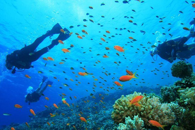 Coral Island Half-day Tour - An In-depth Look at the Coral Island Experience