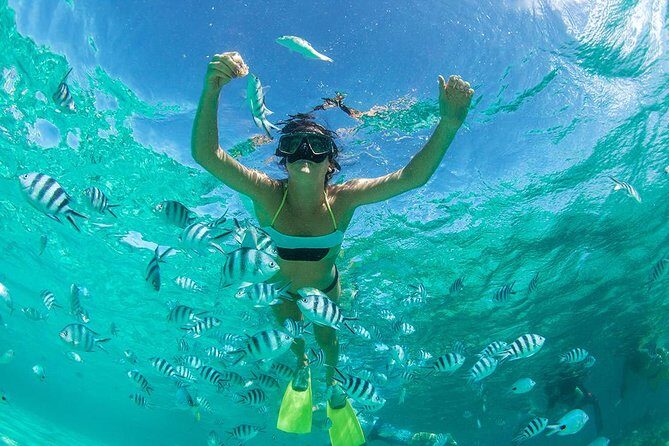 Coral Island Half-day Tour - Final Thoughts: Is the Coral Island Half-day Tour a Good Choice?