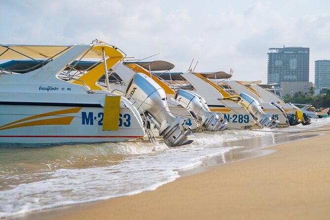 Coral Island Koh Larn Tour in Pattaya - The Sum Up
