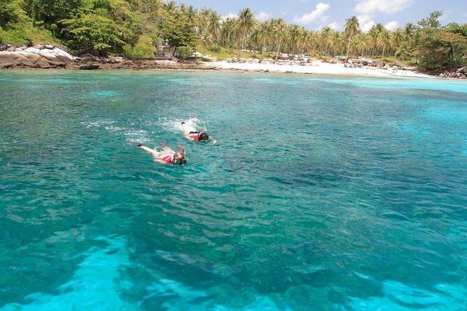 Coral Island Speedboat Adventure - Key Points