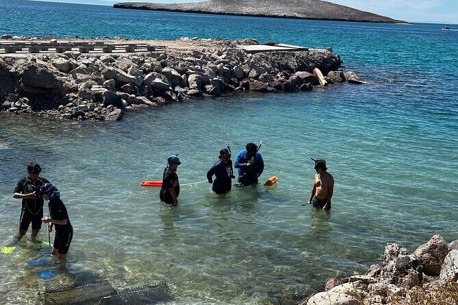 Coral Nursery Snorkeling Eco Adventure in La Paz - Frequently Asked Questions