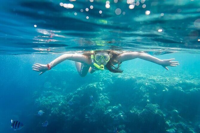 Coral Nursery Snorkeling Eco Adventure in La Paz - Final Thoughts