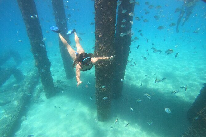 Coral Reef Snorkel Adventure with Photos and Videos - Who Should Consider This Tour?