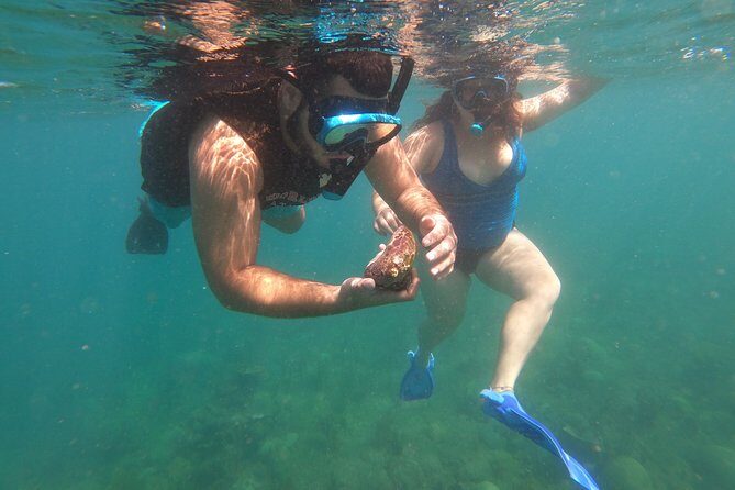 Coral Reef Snorkel Adventure with Photos and Videos - Key Points