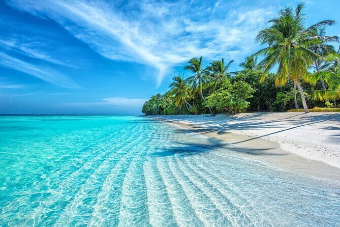 Coral Reef Snorkeling and Floating Bar Party from Nha Trang - Final Thoughts