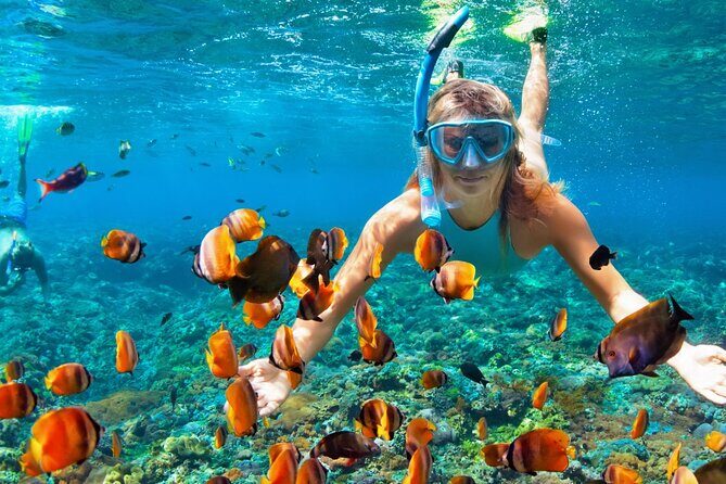 Coral Reef Snorkeling Expedition from Cancun with Beachside Lunch - What to Expect on This Snorkeling Tour