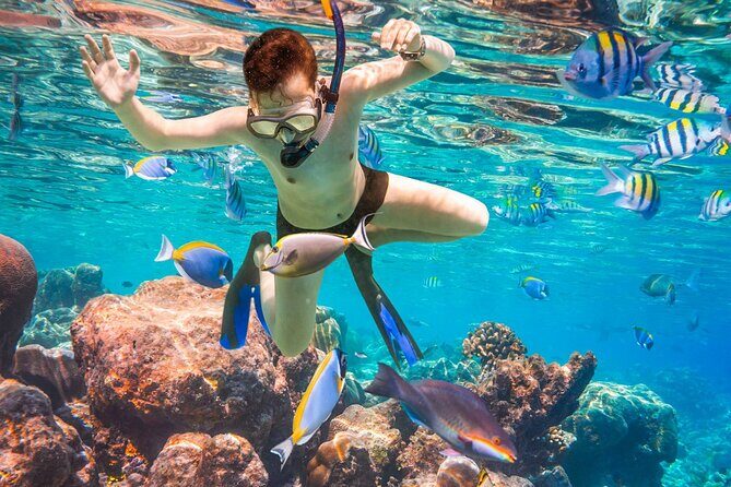 Coral Reef Snorkeling Expedition from Cancun with Beachside Lunch - Who Will Love This Tour?
