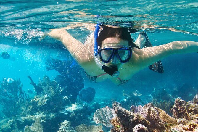 Coral Reef Snorkeling Expedition from Cancun with Beachside Lunch - FAQs