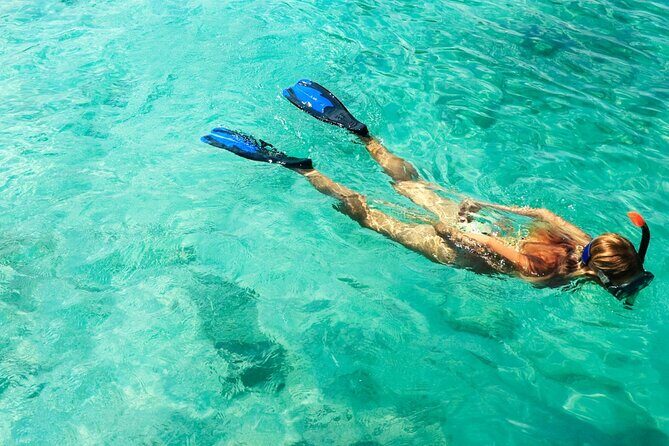 Coral Reef Snorkeling Expedition from Cancun with Beachside Lunch - Final Thoughts