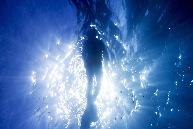 Coral Sea Dreaming Overnight Dive, Snorkel and Sail - Why This Tour Offers Great Value