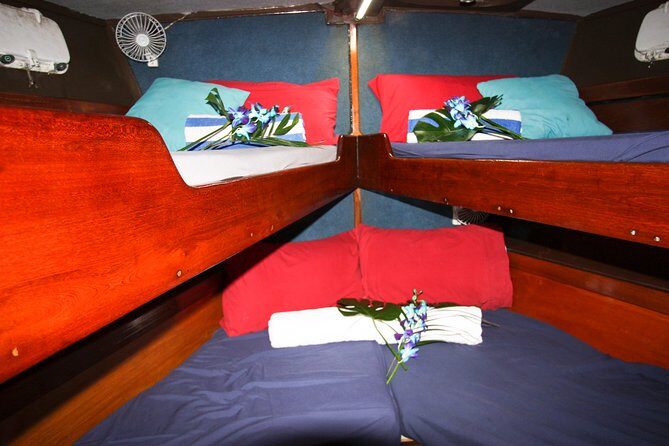 Coral Sea Dreaming Overnight Dive, Snorkel and Sail - Who Will Love This Tour?